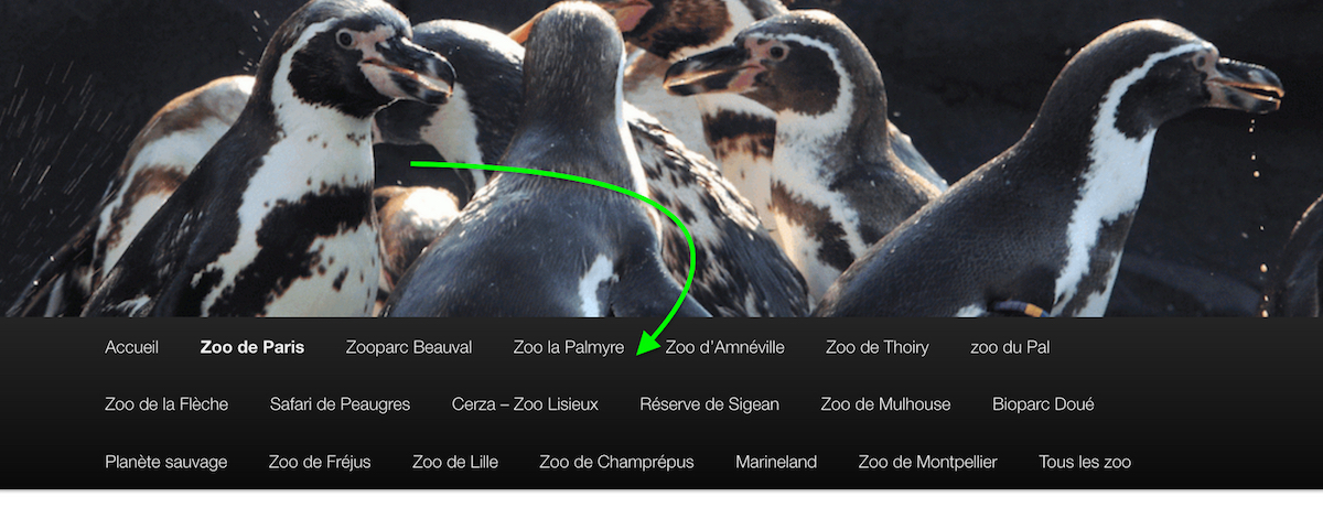Zoo-Parc.fr : les guides des plus de 25 parcs animaliers de France à ...